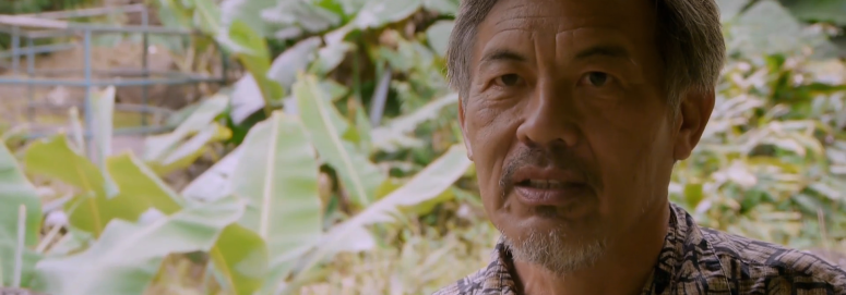 The gritty truth about GMOs with Dr. Lorrin Pang (Part 1) | Open Sesame ...